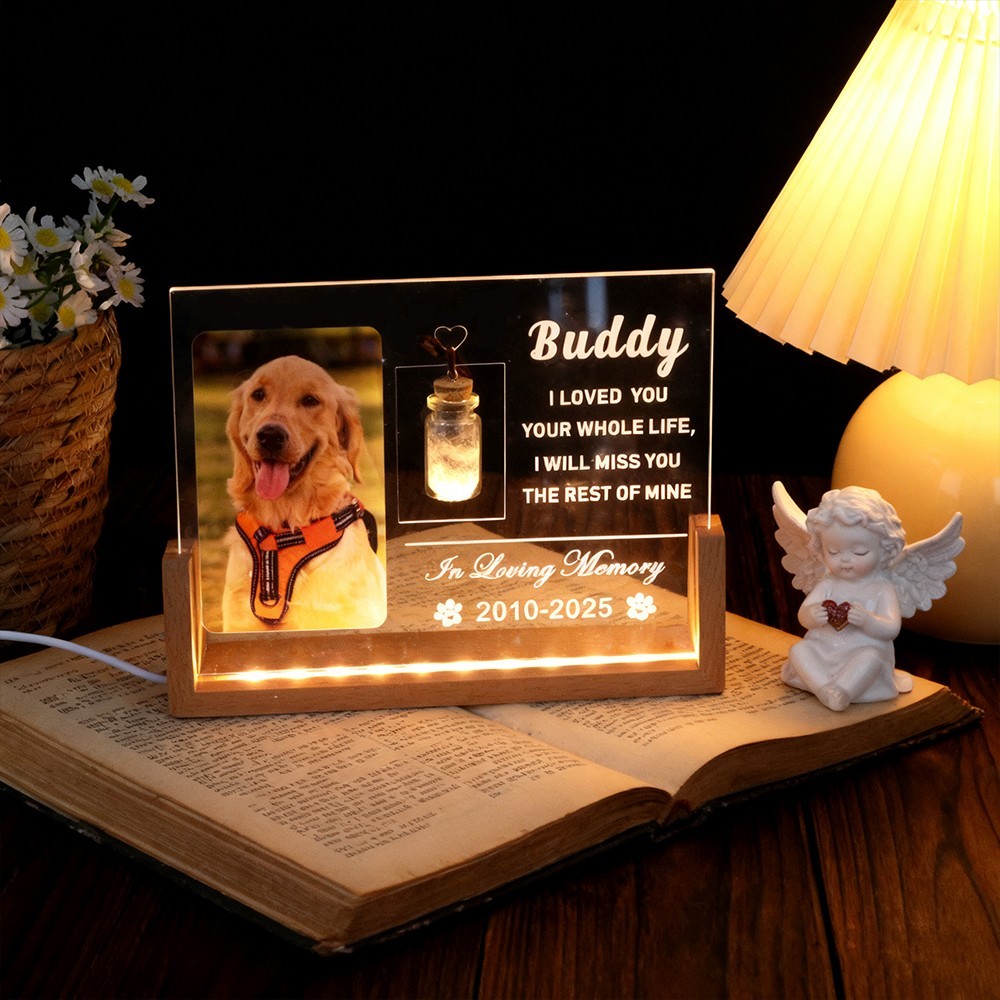 Custom Pet Memorial Night Light Frame with Pet Fur Jar Pet Sympathy ...