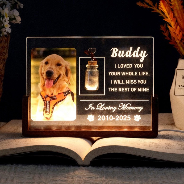 Custom Pet Memorial Night Light Frame with Pet Fur Jar Pet Sympathy ...